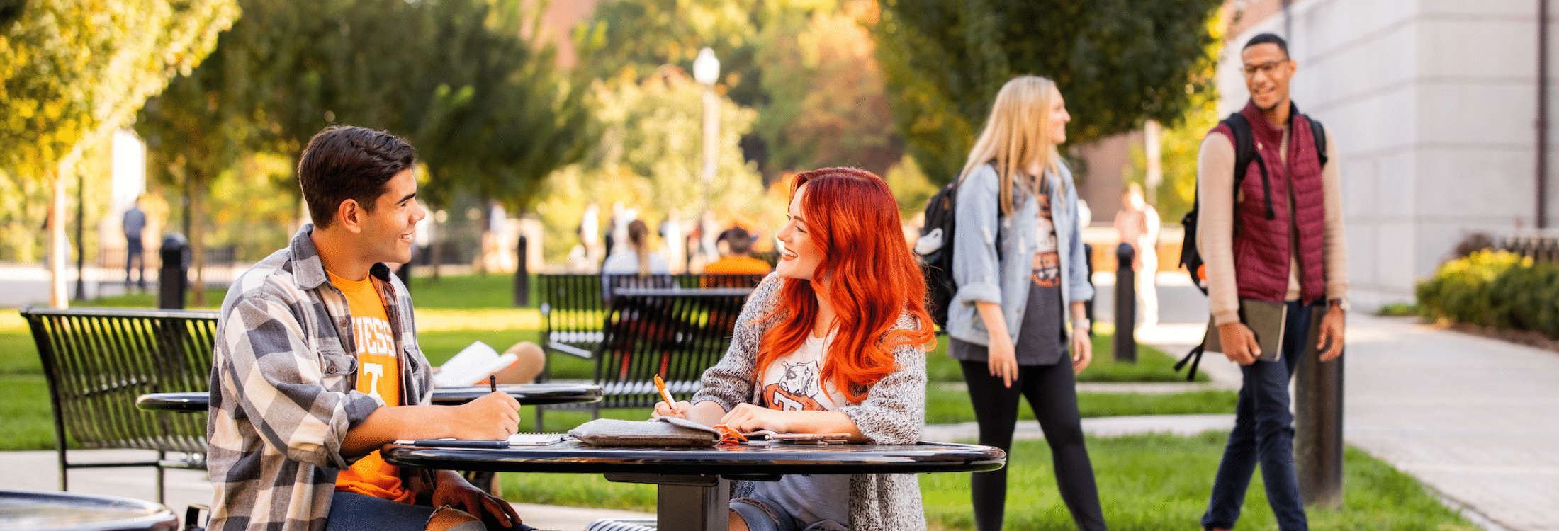 Fall 2025 Release Summary - Undergraduate Admissions